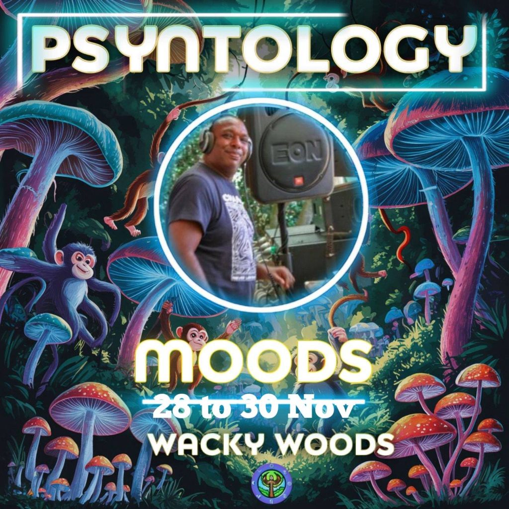 DJ Moods - Trippy Wizard’s Underground Map